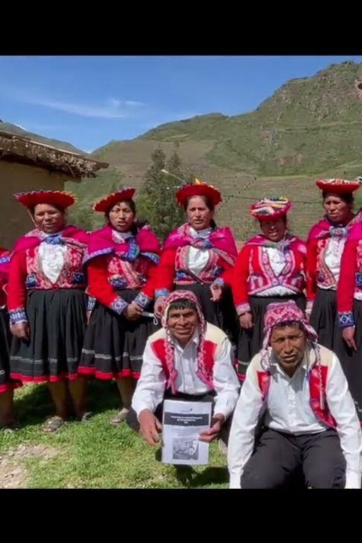 Cusco: Alpaca therapy and healing with clay - A Day Steeped in Andean Traditions