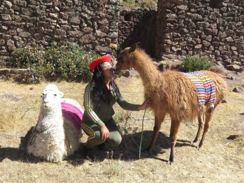 Cusco: Alpaca Therapy in the Cuyo Chico community |Half day| - Final Thought
