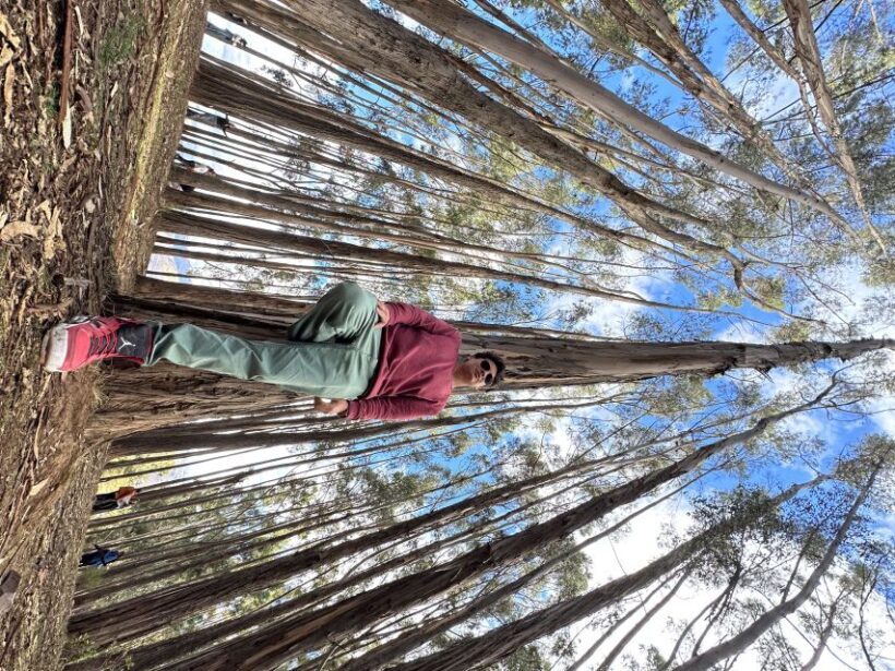Cusco: Archeological Sites Tour and Forest Photo Experience - Cusco: Archeological Sites Tour and Forest Photo Experience — A Practical Look