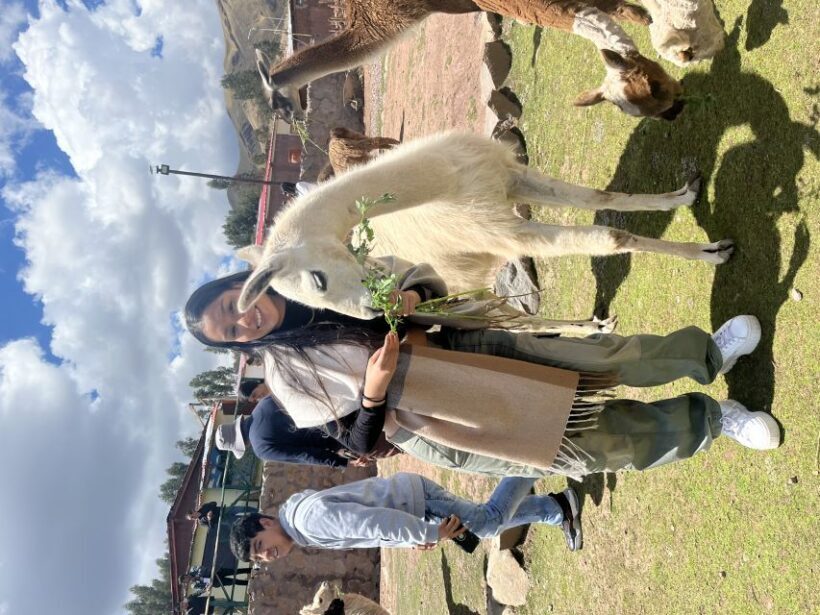 Cusco: Archeological Sites Tour and Forest Photo Experience - Authenticity and Traveler Feedback