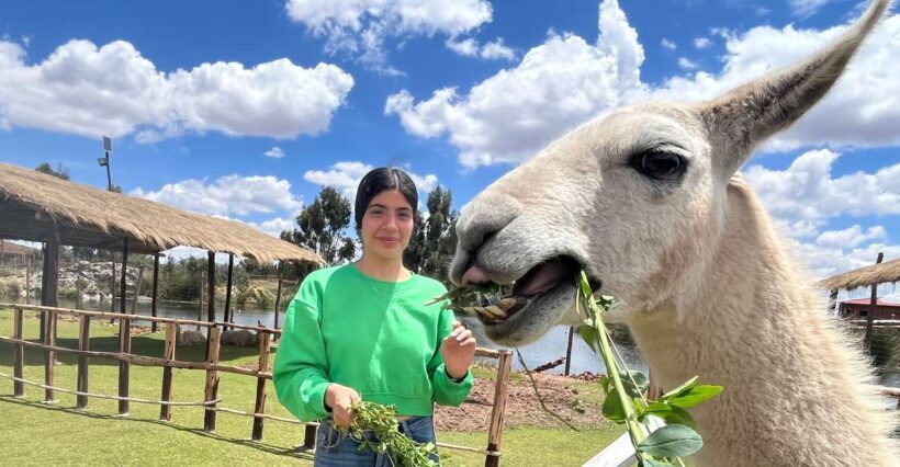 Cusco: Archeological Sites Tour and Forest Photo Experience - FAQ