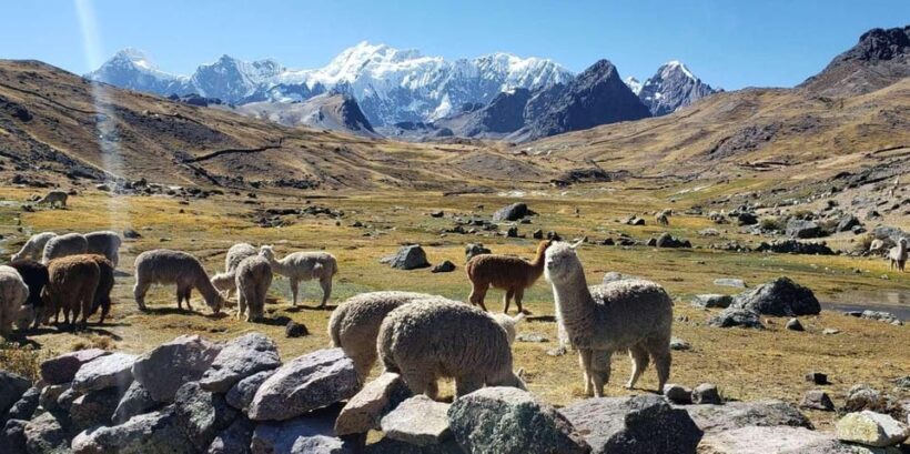 Cusco: Ausangate - 7 Lakes Hike - Summary: The Bottom Line