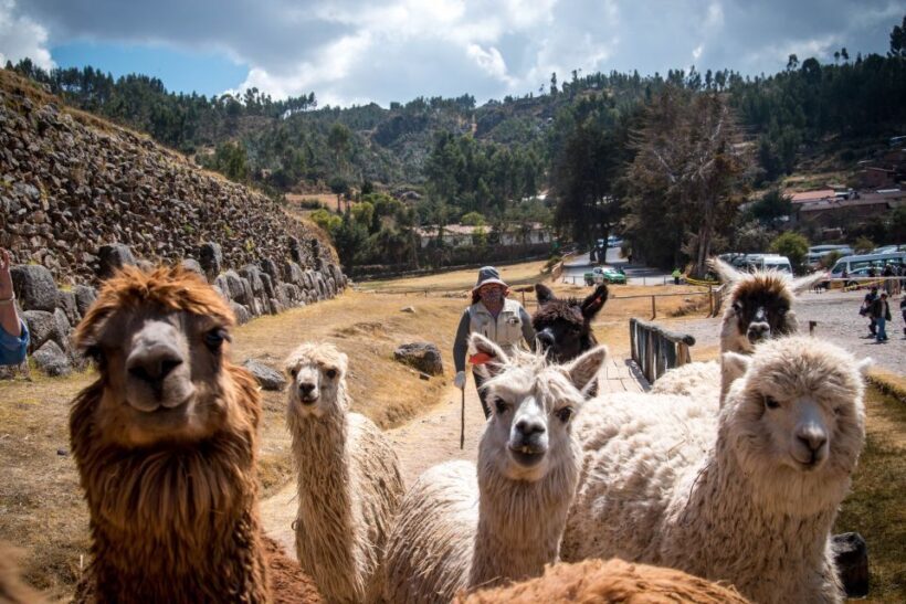 Cusco City Tour - An In-Depth Look at the Cusco City Tour
