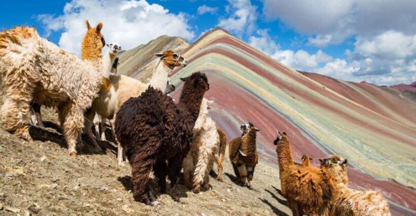 Cusco: Excursion to Rainbow Mountain | full day | - Who Should Consider This Tour?