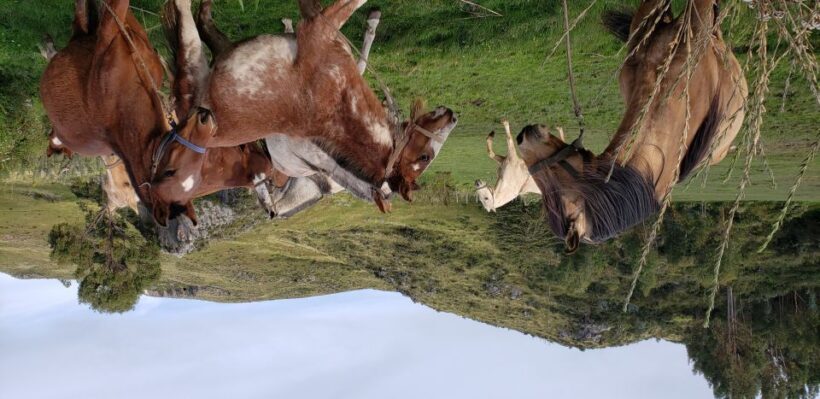 Cusco: Half-Day Horseback Riding at Devil's Balcony - Introduction