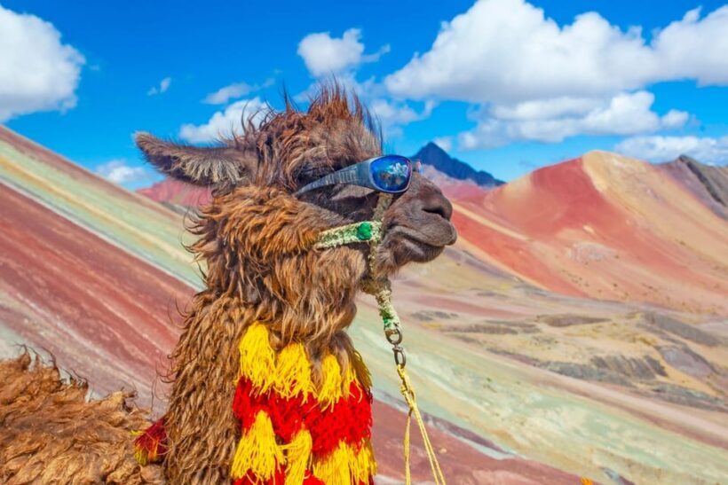 Cusco : Rainbow Mountain and Red Valley Tour - Key Points