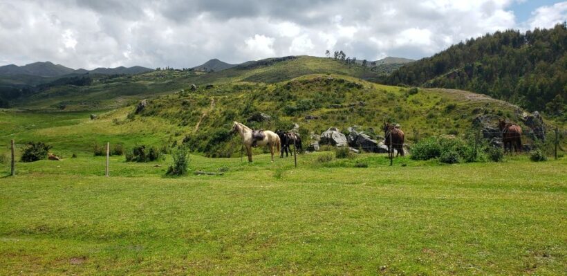 Cusco: Sacsayhuaman Guided Tour and 1-Hour Horseback Ride - Horseback Riding: Scenic, Adventurous, and Authentic