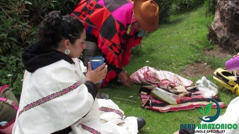 Cusco: San Pedro or Wachuma Ceremony | Private - The Practicalities and What to Know Before Booking