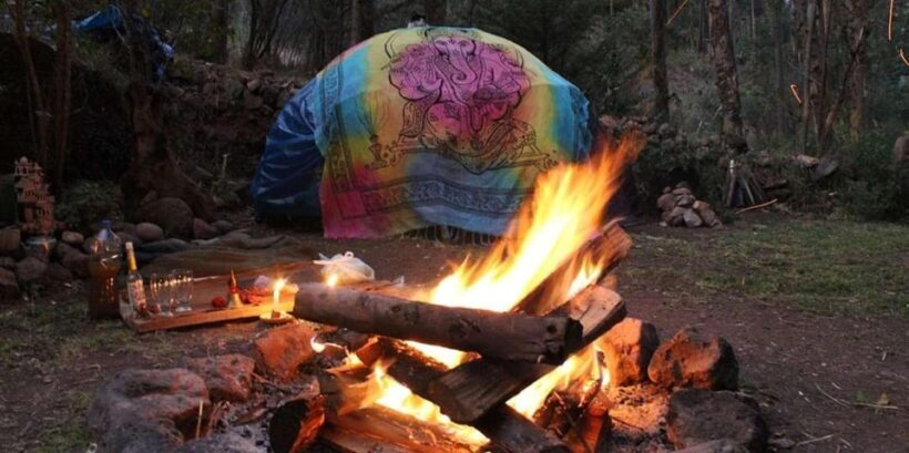 Cusco: San Pedro or Wachuma Ceremony | Private - Final Thoughts: Is It Worth It?