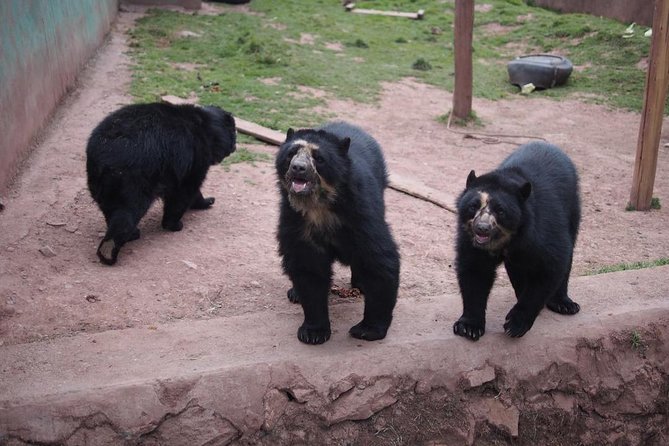 Cusco Sanctuary for Rescued Animals: Cochahuasi - Tour Details and Inclusions