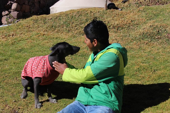 Cusco Sanctuary for Rescued Animals: Cochahuasi - Accessibility and Additional Information
