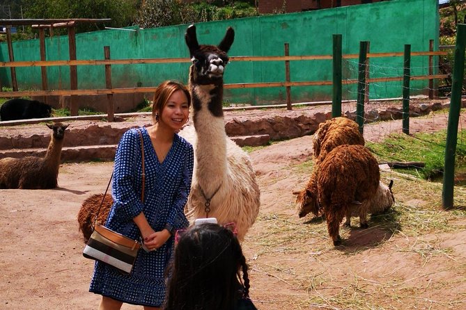 Cusco Sanctuary for Rescued Animals: Cochahuasi - The Sanctuarys Mission and Conservation Efforts