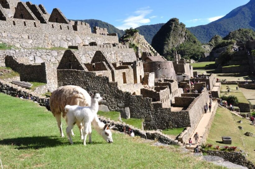 Cusco to Machu Picchu Day Trip - Detailed Breakdown of the Experience