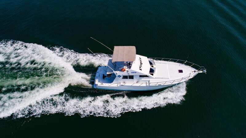 Custom 46' Boat in Puerto & Nuevo Vallarta - Detailed Breakdown of the Experience