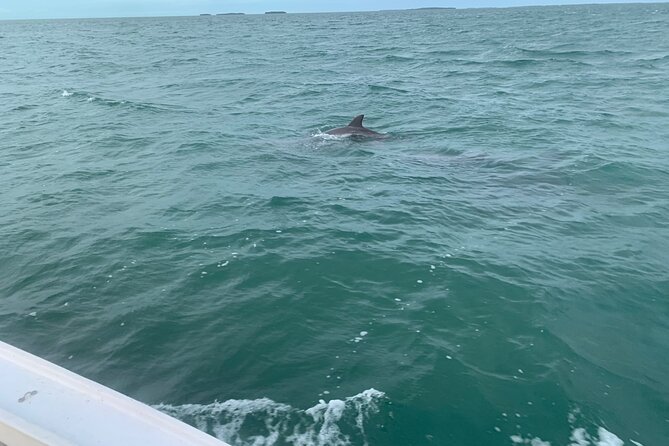 Custom Charters with a Local Captain - The Sum Up