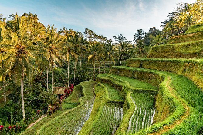 Custom Day Trip in Bali - Who Will Love This Tour?
