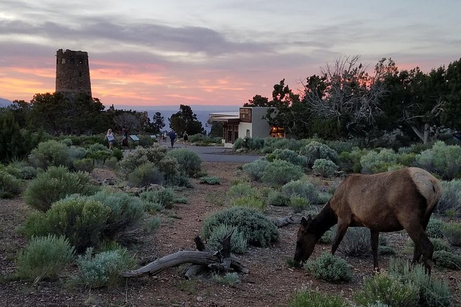 Custom Grand Canyon Day Trip - What’s Included and What’s Not