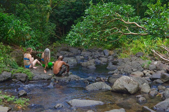 Custom Island Adventure Tours - An Honest Look at What You Can Expect