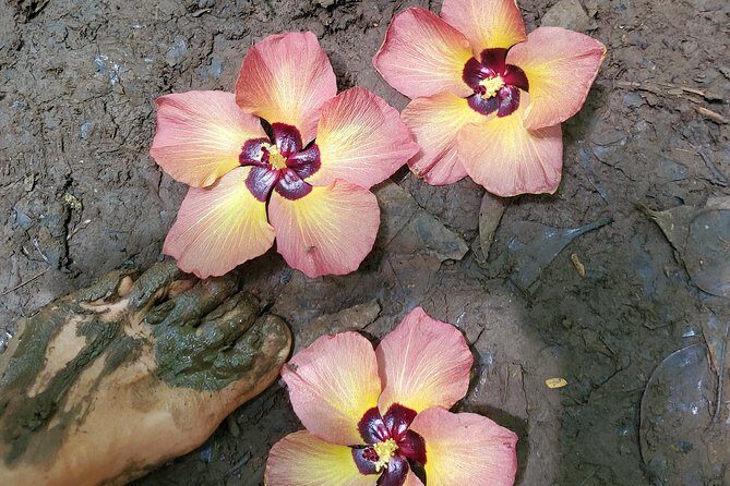 Custom Island Adventure Tours - FAQ