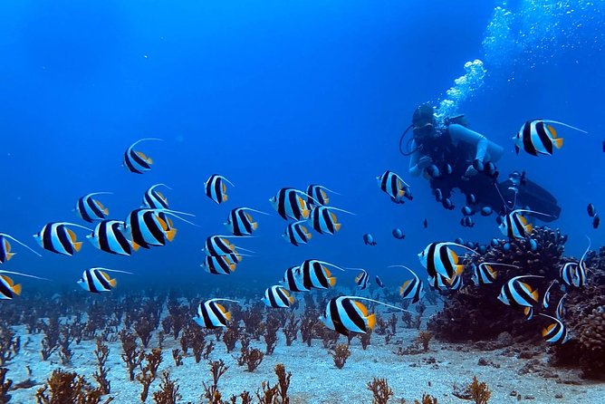 Custom Private Adventure - Practical Considerations