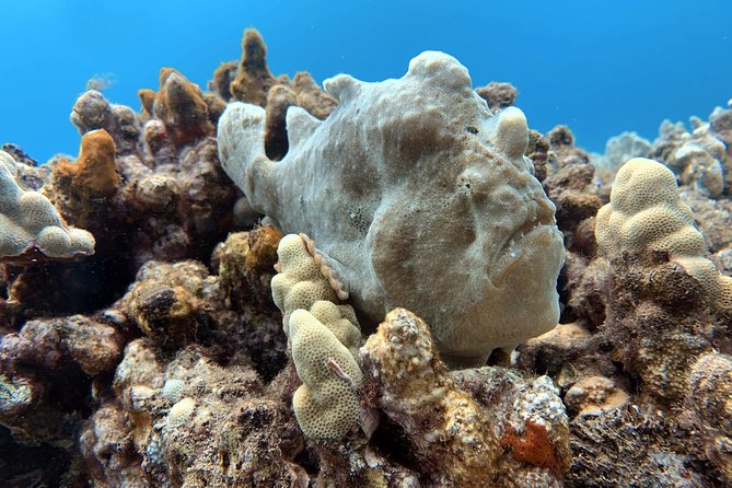 Custom Private Adventure - Who Should Book This Tour?