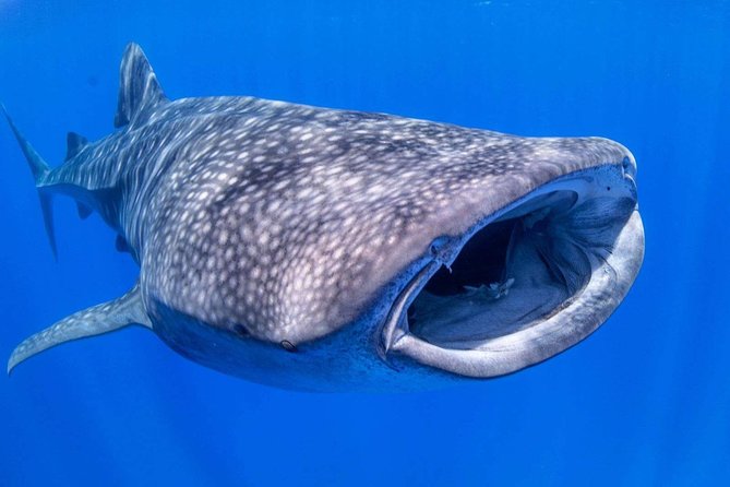 Custom Private Adventure - Frequently Asked Questions