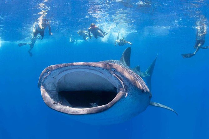 Custom Private Adventure - Final Thoughts