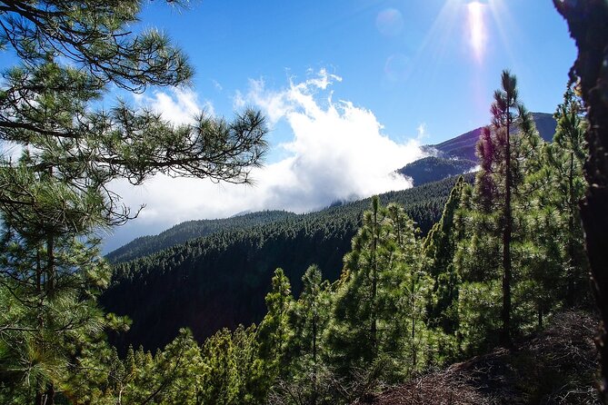 Custom Private Full-Day Tour into the Heart of Tenerife - Authentic Experiences and Value