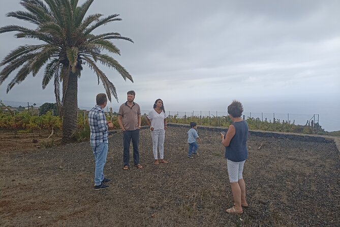 Custom Private Tenerife Full Island Car Tour - Traveler Feedback and Reviews