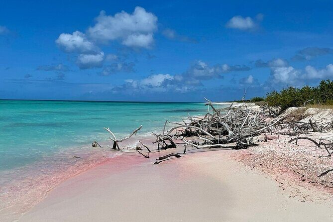 Custom Private Tour of Antigua Explore at Your Own Pace - Key Points