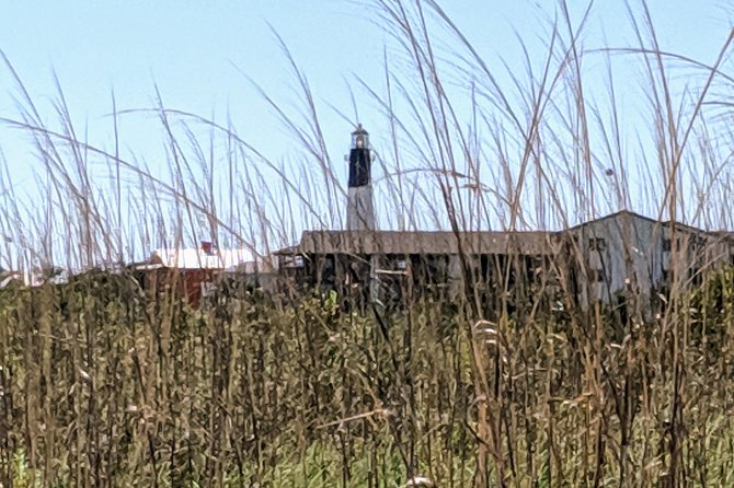 Custom Savannah Private Tour - Practicalities: What You Need to Know