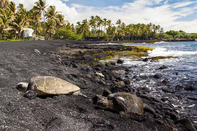 Custom Volcanoes National Park Tour with extra stops - Exploring the Big Island: A Private, Customizable Volcano Tour