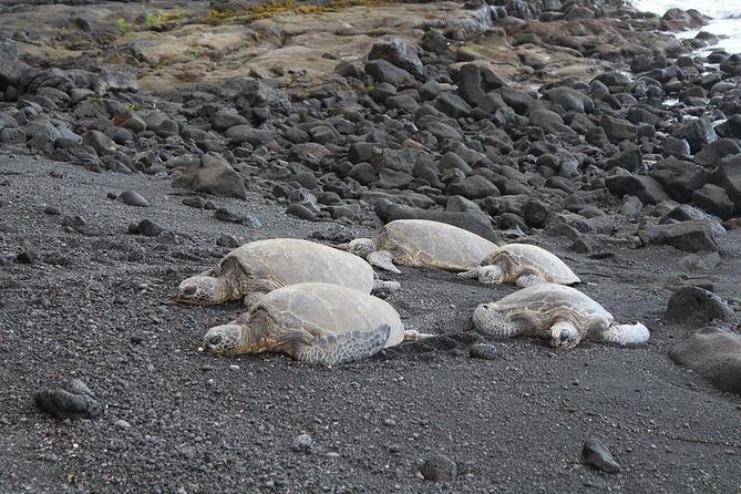 Custom Volcanoes National Park Tour with extra stops - Key Points