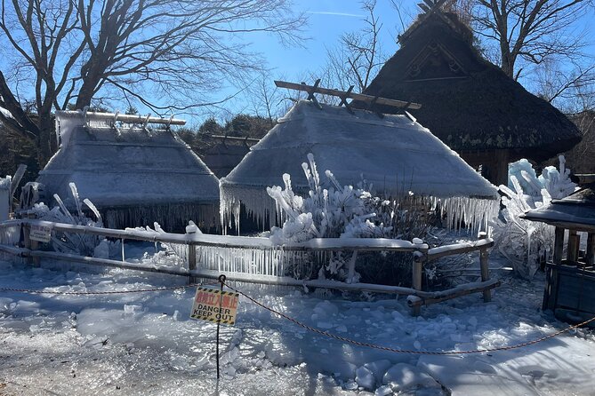 Customisable Mt.Fuji Private Day Trip, English Speaking Driver - Key Points