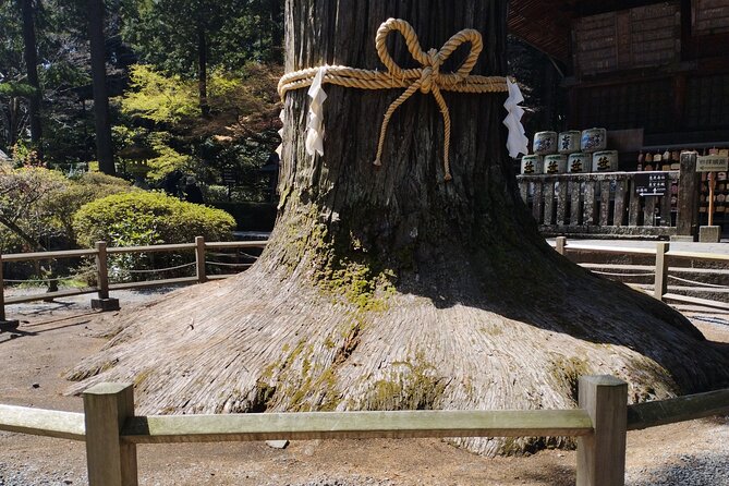 Customisable Mt.Fuji Private Day Trip, English Speaking Driver - Accessibility