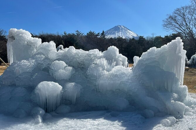 Customisable Mt.Fuji Private Day Trip, English Speaking Driver - Customer Feedback