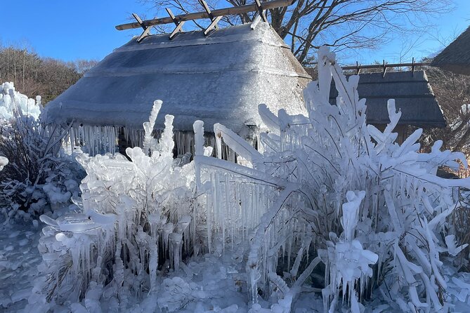 Customisable Mt.Fuji Private Day Trip, English Speaking Driver - Suggested Itinerary