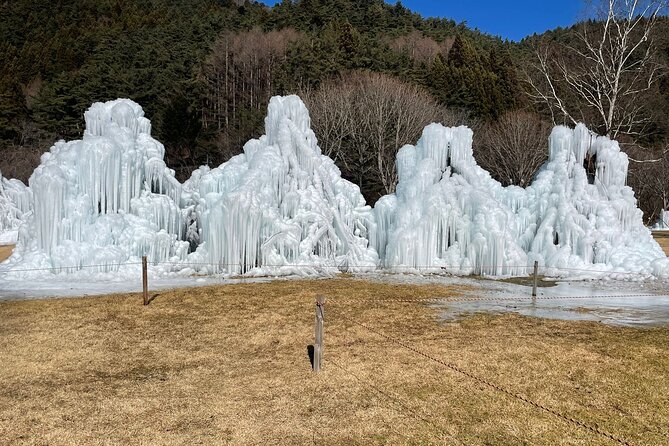 Customisable Mt.Fuji Private Day Trip, English Speaking Driver - Pricing and Booking