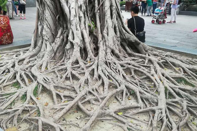 Customised Private Guangzhou City Tour with Flexible Itinerary - FAQ