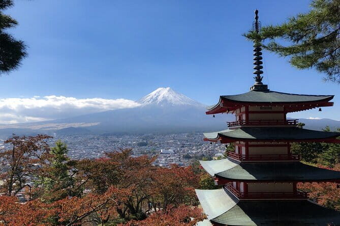 Customizable 10 Hour Private Tour from Tokyo to Mount Fuji - An Overview of the Private Mount Fuji Experience