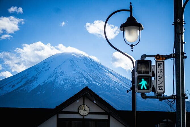 Customizable 10 Hour Private Tour from Tokyo to Mount Fuji - Cost and Value Analysis