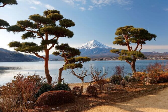Customizable 10 Hour Private Tour from Tokyo to Mount Fuji - What Past Participants Say