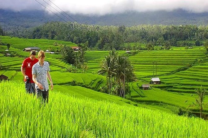 Customizable Bali 5 days Transport Package - The Practicality of a Customizable Bali Transport Package