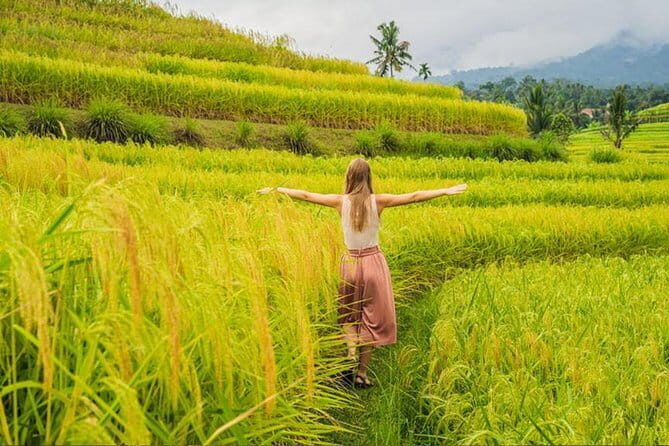 Customizable Bali 5 days Transport Package - Value for Money and Who It’s Best For