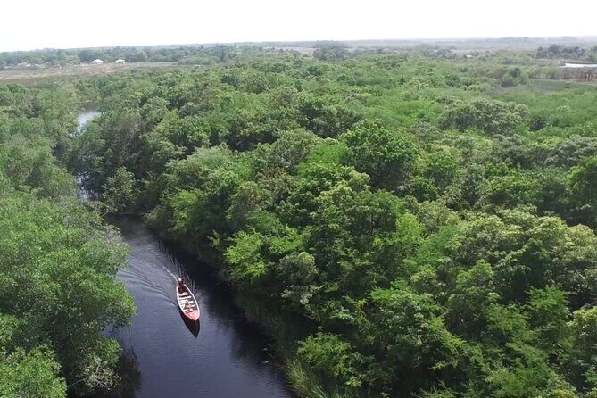 Customizable Combo package to Black River Safari and YS Falls - Authentic Experiences and Tips