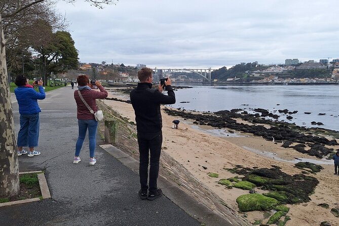 Customizable Full Day Porto Tour: Choose Your Perfect Experience - Scenic Views & Natural Beauty