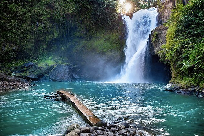 Customizable full-day tour of Bali with private driver - Authentic Experiences and Practical Tips