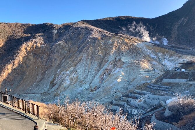 Customizable Hakone-Mt.Fuji Private Day Trip, Eng Speaking Driver - Itinerary Highlights