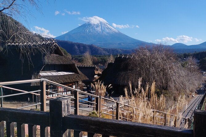 Customizable Hakone-Mt.Fuji Private Day Trip, Eng Speaking Driver - Common Questions