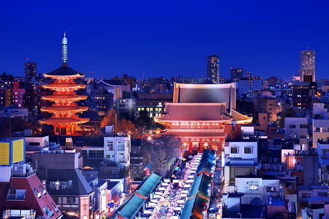 Customizable Private Tokyo Tour With an English-Speaking Driver - Key Points